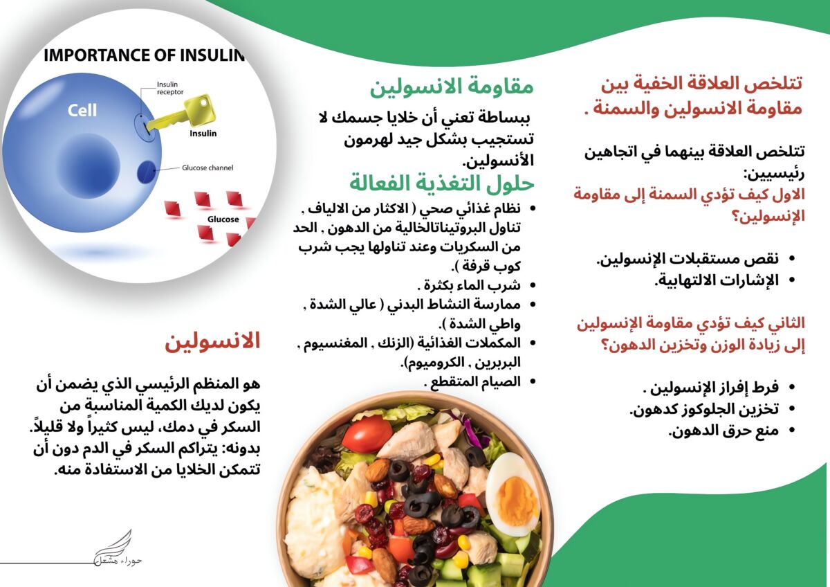 Holding the educational and guidance course “Insulin Resistance and ...