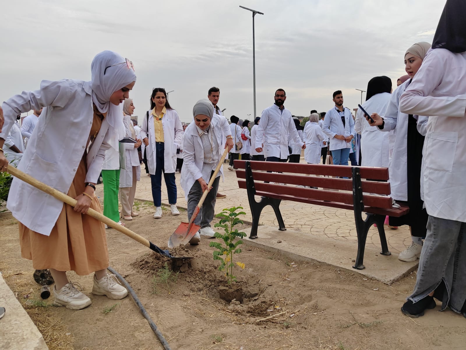 A scientific trip to the environmentally friendly Yarmouk Park ...