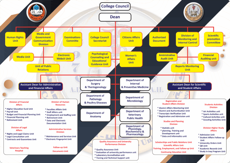 Organizational Structure – College of Veterinary Medicine